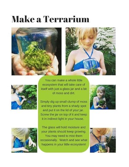 Family Guide to Terrariums for Kids: Imagination-inspiring Projects to ...