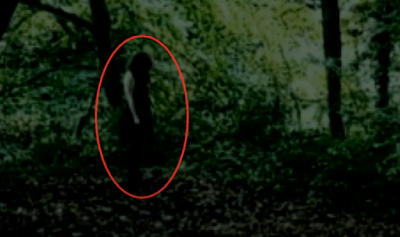 Lee Brickley (Author of UFO's Werewolves & The Pig-Man)