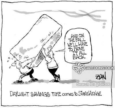 Susan Flett Swiderski's Blog