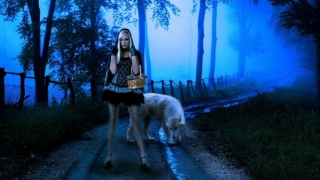 Son Protecteur Loup (Romances des Loups Gardiens) by Jodi Vaughn ...