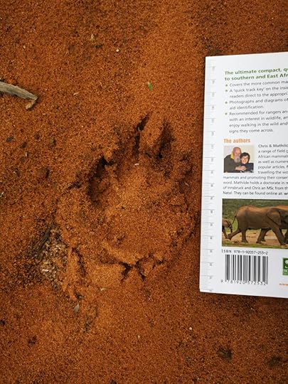 On Track: Quick ID guide to southern and East African animal tracks by ...