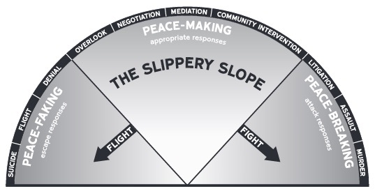 The Peacemaker: A Biblical Guide to Resolving Personal Conflict by Ken ...