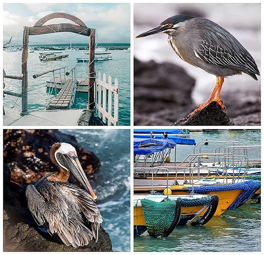 The Evolution of Love by Philip William Stover | Goodreads