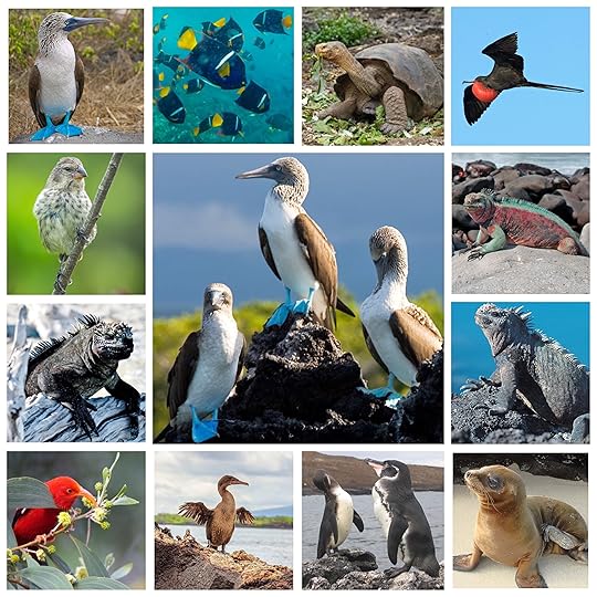 The Evolution of Love by Philip William Stover | Goodreads