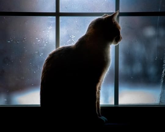 John Scalzi (Author of Old Man's War)