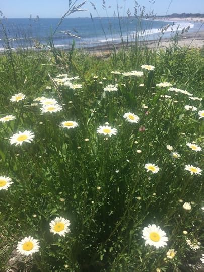 When There is Hope by Jane Goodger