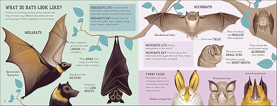 The Bat Book (Conservation for Kids) by Charlotte Milner | Goodreads