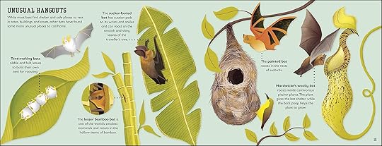 The Bat Book (Conservation for Kids) by Charlotte Milner | Goodreads