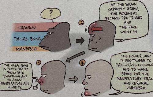 Stonehouse's Anatomy by Seok Jung Hyun | Goodreads