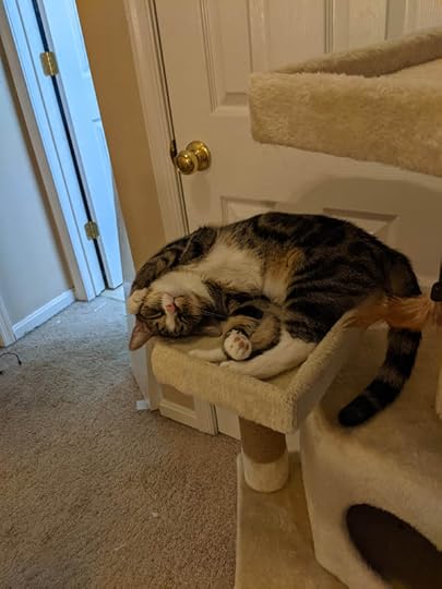 J.M. Beal (Author of Undiscovered Country)