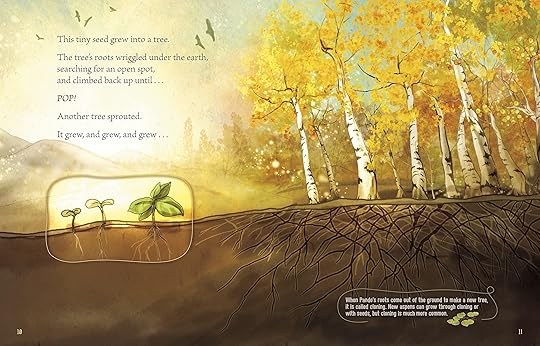 Pando: A Living Wonder of Trees by Kate Allen Fox | Goodreads