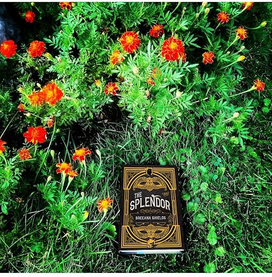 The Splendor by Breeana Shields