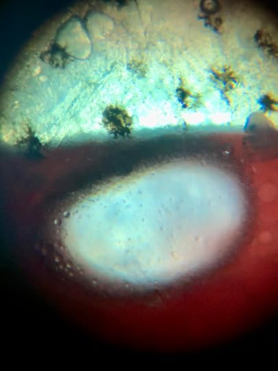 Jessica Haight's Blog