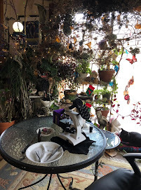 Jessica Haight's Blog