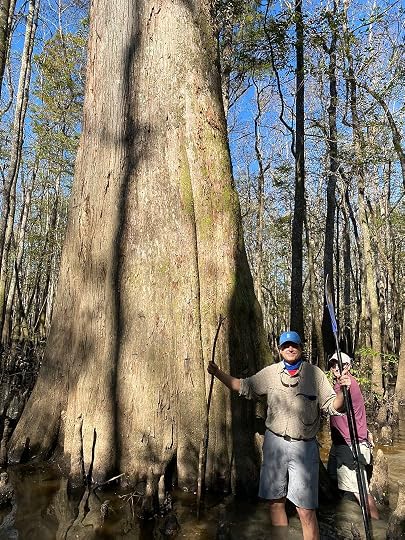 Bottle Creek: A Pensacola Culture Site in South Alabama by Ian W. Brown ...