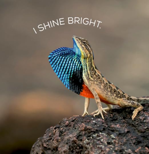 Hidden Animal Colors by Jane Park | Goodreads