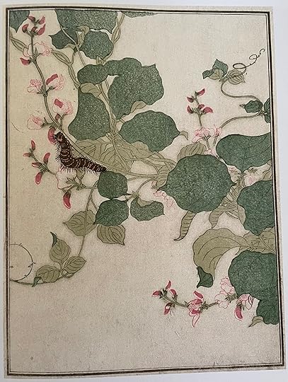 The British Museum Haiku: Animals by Mavis Pilbeam | Goodreads