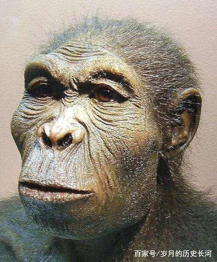 Extinct Humans by Ian Tattersall | Goodreads