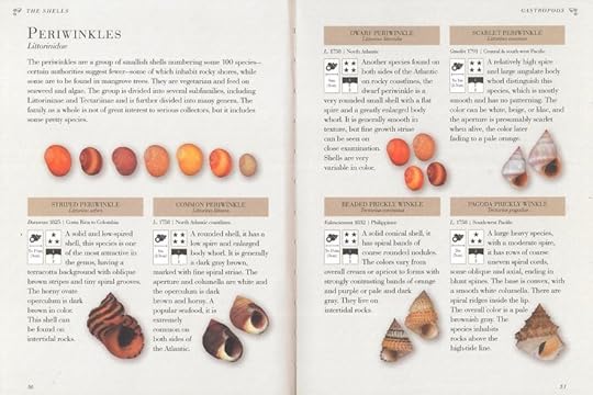 The Shell Collector's Handbook: The Essential Field Guide for Exploring ...