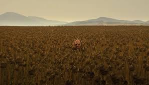 Unsettled Land: From Revolution to Republic, the Struggle for Texas by ...