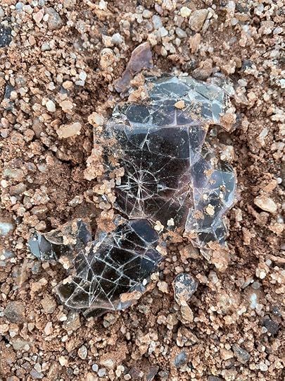 Ofir Drori's Blog: The Last Great Ape: Adventure, Activism & The Book