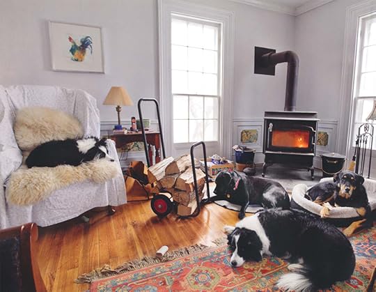 Meet the Dogs of Bedlam Farm by Jon Katz | Goodreads