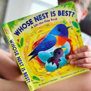 Whose Nest Is Best?: A Lift-the-Flap Book by Heidi E. Y. Stemple ...