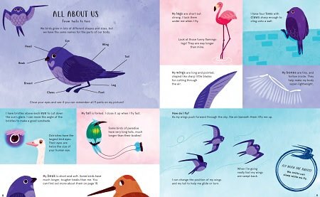 The Secret Life of Birds (Volume 3) by Moira Butterfield | Goodreads