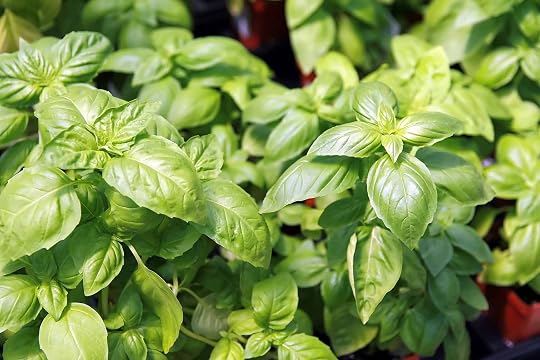 How to Grow Anything: Food Gardening for Everyone by Melinda Meyers ...
