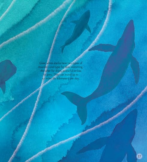 Great White Shark by Claire Saxby | Goodreads