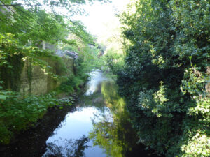 Marion Crook (Author of Writing For Children Young Adults)