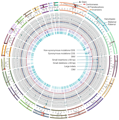 Laurence A. Moran (Author of Principles of Biochemistry)