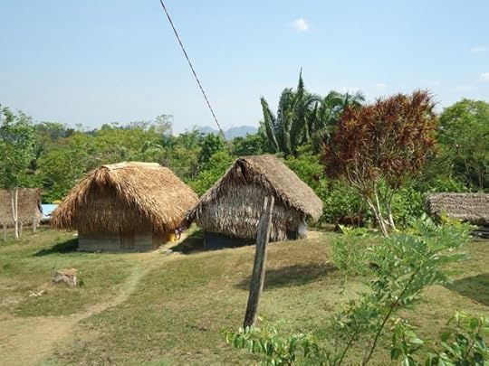 Tree Girl by Ben Mikaelsen | Goodreads