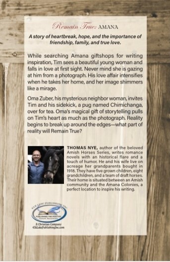 Thomas Nye (Author of Under the Heavens)