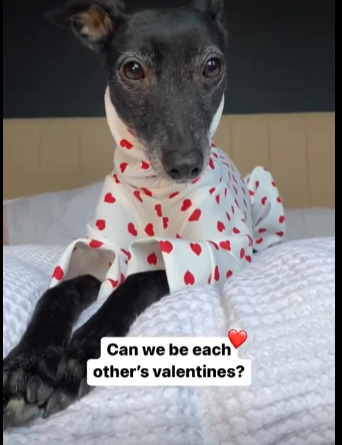 Worried Whippet: A Book of Bravery - For Kids (and Adults) Struggling ...