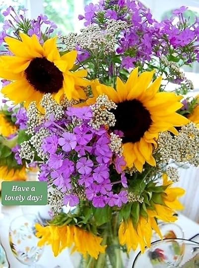 Anne Balaban's Blog