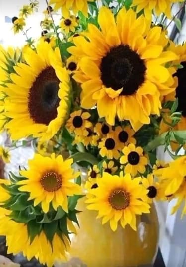 Anne Balaban's Blog