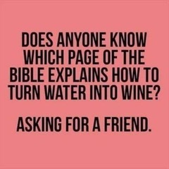 Anne Balaban's Blog
