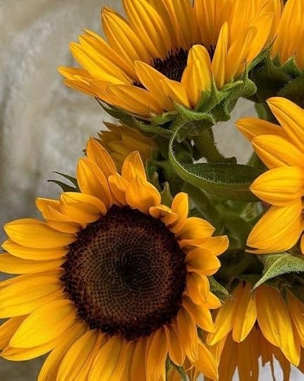 Anne Balaban's Blog