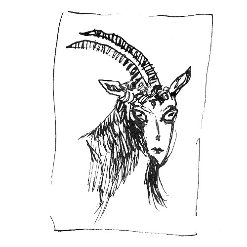Secret Observations on the Goat-Girl by Joyce Carol Oates | Goodreads