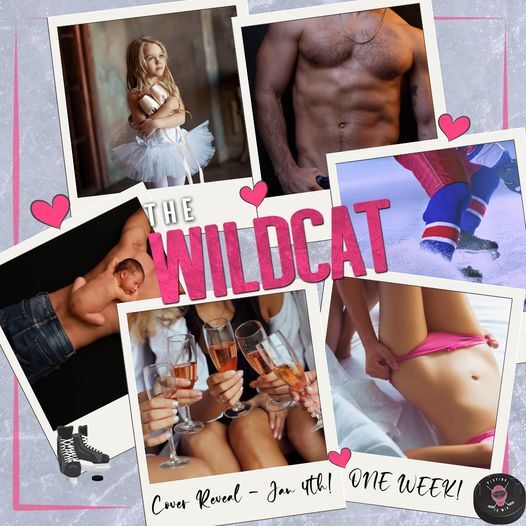 The Wildcat (Playing to Win, #2) by Bella Matthews | Goodreads