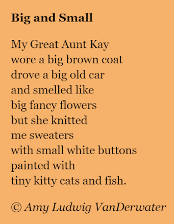 Amy Ludwig VanDerwater's Blog