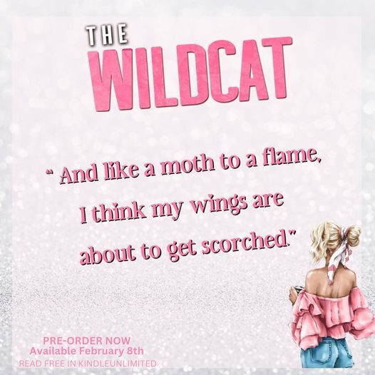 The Wildcat (Playing to Win, #2) by Bella Matthews | Goodreads