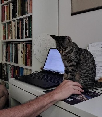 The Cat Sat on the Mat: Language and the Absurd by John George ...