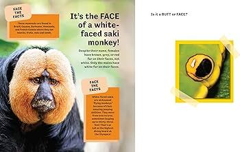 Butt or Face?, Vol. 2: Revenge of the Butts by Kari Lavelle | Goodreads