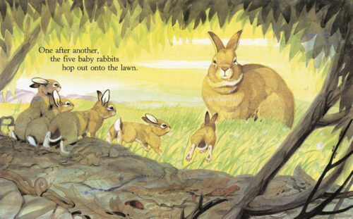 Rabbits & Raindrops by Jim Arnosky | Goodreads