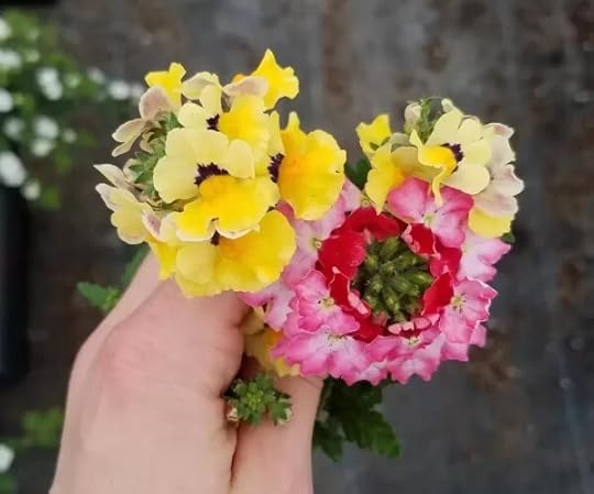 Elisabeth Grace Foley (Author of Once)