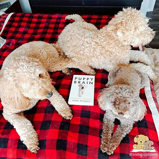 Puppy Brain: How Our Dogs Learn, Think, and Love by Kerry Nichols ...
