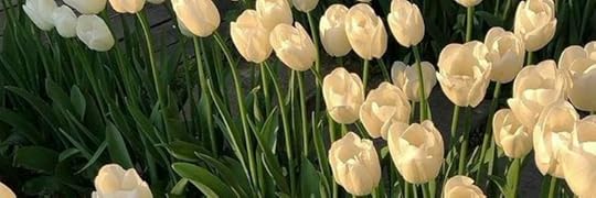 The Ever King (The Ever Seas, #1) by L.J. Andrews | Goodreads