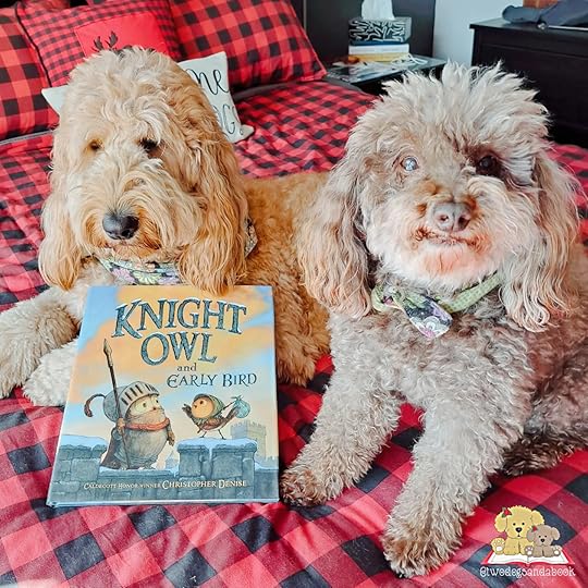 Die kleine Rittereule und der Frühe Vogel by Christopher Denise | Goodreads